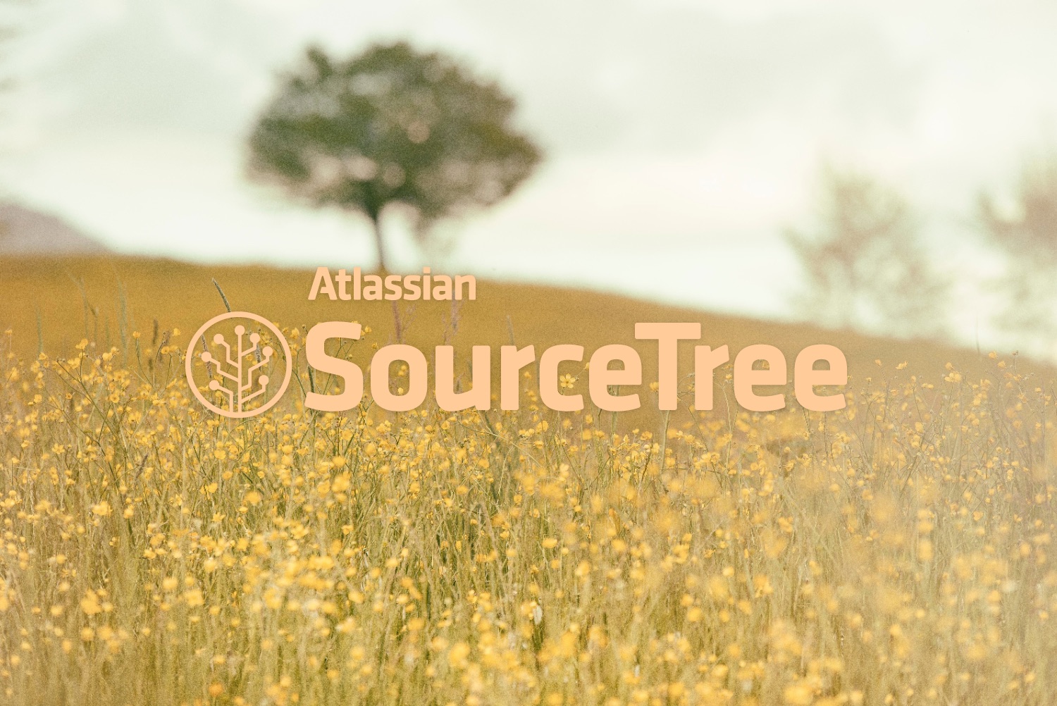 Updating SourceTree Git Login Credentials